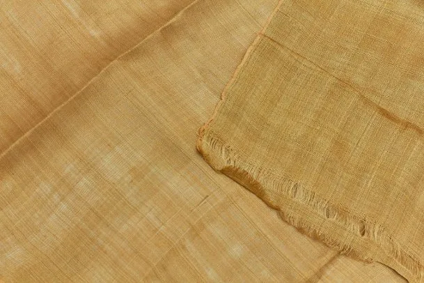 Muga Silk Fabric: The Complete Guide To India's Liquid Gold | Clothing ...